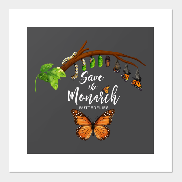 Save the Monarch Butterflies - Save The Monarchs - Posters and Art Prints | TeePublic